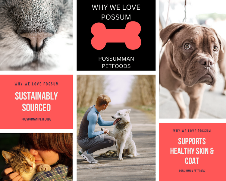 Discover the Benefits of Raw NZ Possum: A Nutritional Powerhouse for ...